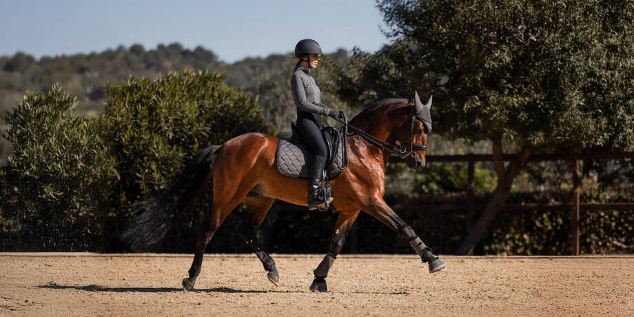 Horse Equipment, Equestrian Clothing & Riding Gear | horze.com