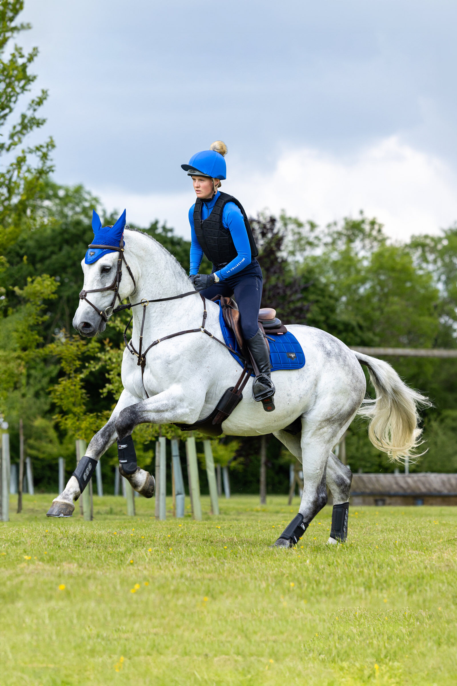 Buy LeMieux Loire Square CC Jumping Saddle Pad | horze.com Buy LeMieux Loire Square CC Jumping Saddle Pad | horze.com